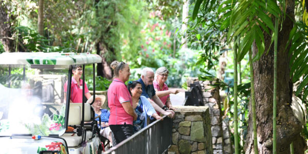 The Good Shepherd Home celebrates 50 years - The Good Shepherd Home